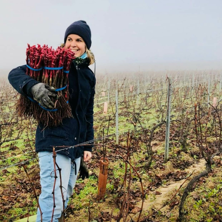 Champagne Elise Bougy Champagne House - Sally Hillman